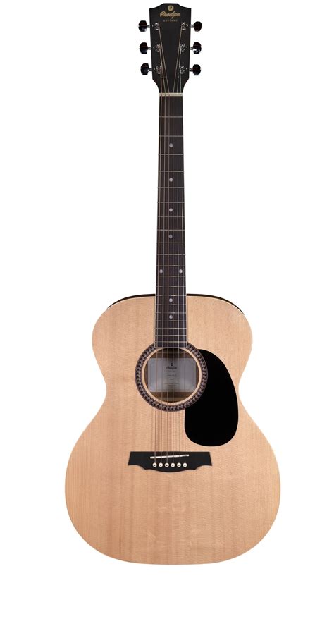 Acoustic guitars Acoustic guitar SA25 Auditorium