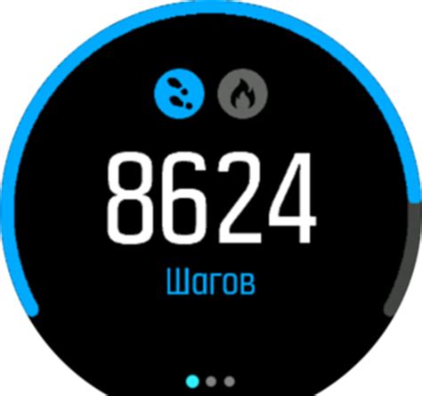 Suunto 9 - Функции - Активность за день