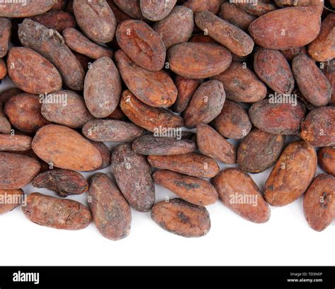 Cocoa beans isolated on white Stock Photo - Alamy
