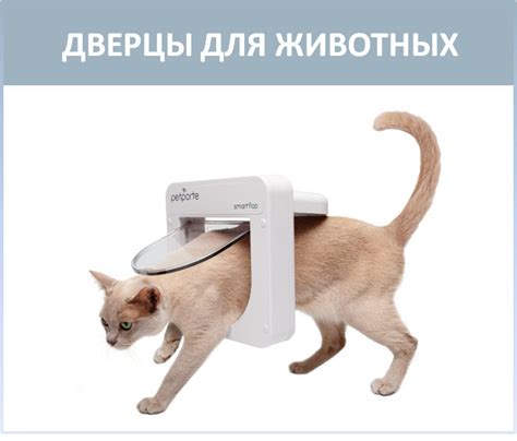 Зоодиалог