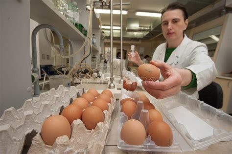Заявите осмотр качества продуктов приходя в метку Редакционное ...