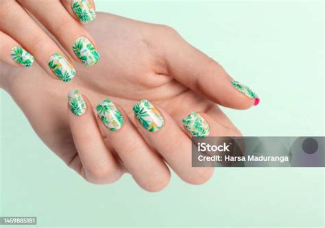 Tangan Wanita Cantik Dengan Manikur Daun Hijau Foto Stok - Unduh Gambar Sekarang - Seni lukis ...