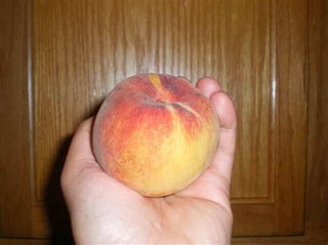 How to Peel Peaches