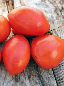 Томат Гринч черри (Grinch Cherry Dwarf)