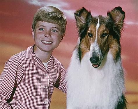 lassie | Filmhund Lassie mit seinem Freund Timmy, gespielt von Jon ...