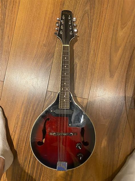 Stagg Mandolin | Reverb UK