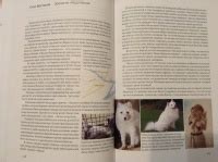Книга: Недопесок - Юрий Коваль. Купить книгу, читать рецензии | Лабиринт