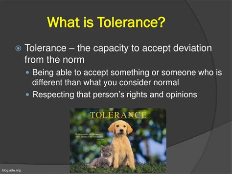 PPT - 2.12 Developing a tolerance for ambiguity PowerPoint Presentation - ID:2188267