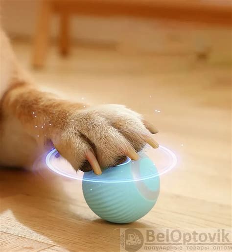 Интерактивная игрушка шарик - дразнилка мячик для кошек и собак Smart ...