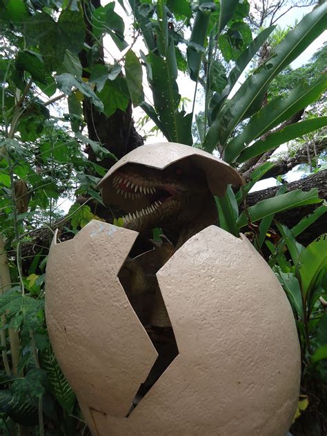 Dinosaur Egg Hatching - Free photo on Pixabay - Pixabay