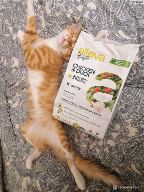 Корм для кошек Alleva Holistic Chicken & Duck + Aloe Vera & Ginseng ...