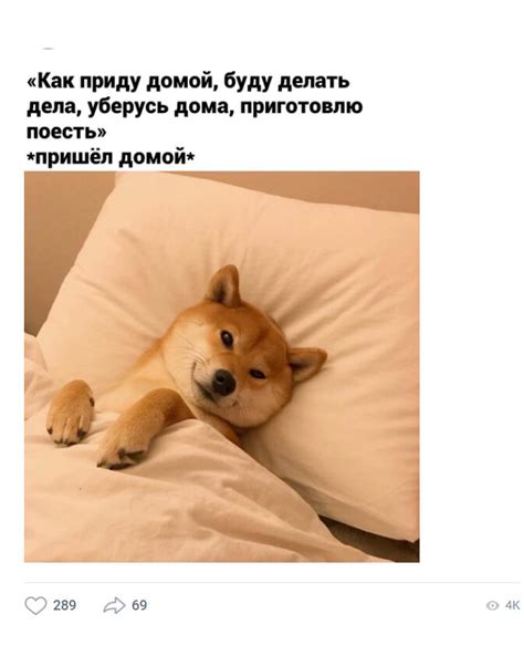 Самые Милые и Смешные Мемы дня. 15 минут мемов с озвучкой. | Мемы Тут ...