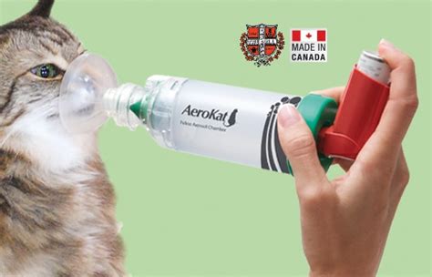 Attrezzature e prodotti veterinari | Praxisdienst-VET