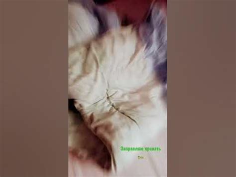 #тренд #кровать #постельноебелье #быстро_спать # - YouTube