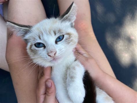 Pin de Viky Vvvv en Каша малаша
