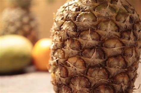 Ananas Mango Fruit - Gratis foto op Pixabay - Pixabay