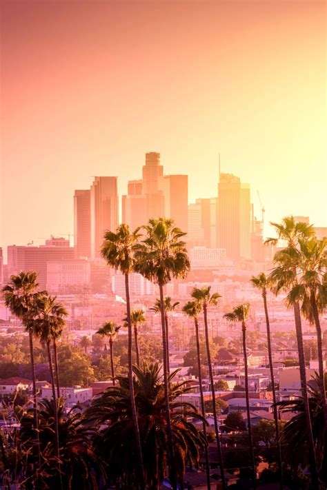 Discover the vibrant spirit of Los Angeles through hilarious quotes