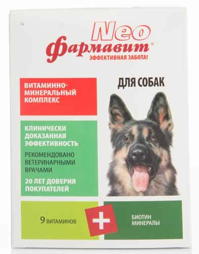 Корм для кормящих собак, чем кормить, чтобы было молоко