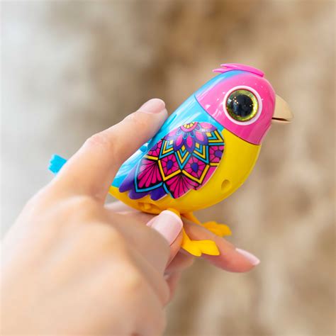 Digi Birds | Concentra