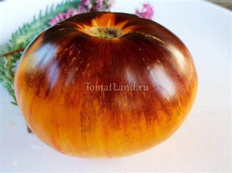 Томат P20+Beauty King: описание сорта, отзывы, фото, урожайность
