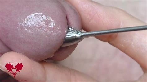 Super Close-up of the Glans Urethral Games with the Dilator: Amateur Amateur Porn | xHamster