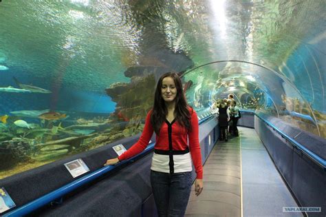 Нужно помочь. Найден фотоаппарат. СПБ. - ЯПлакалъ