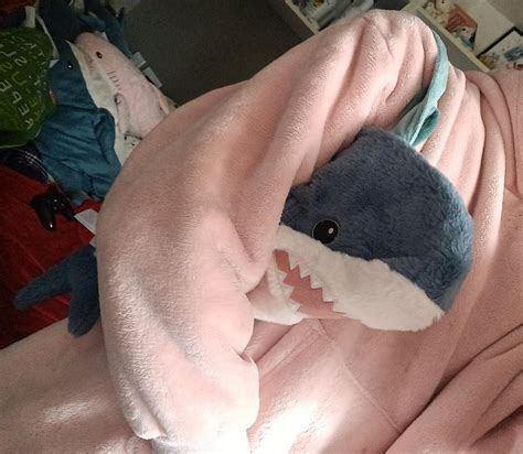 My Blahaj bag arrived 2 weeks early! : r/BLAHAJ