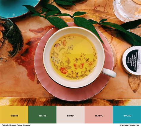 Colorful Aroma Color Scheme - Image Color Palettes - SchemeColor.com