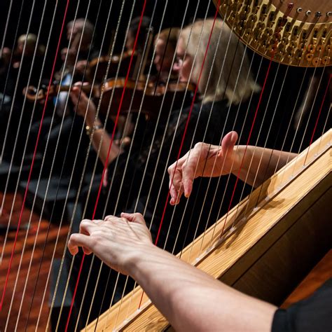 Work with Us - WASO