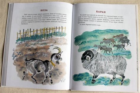 Книга: Моя первая зоология - Евгений Чарушин. Купить книгу, читать ...