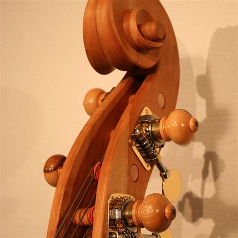 Bass