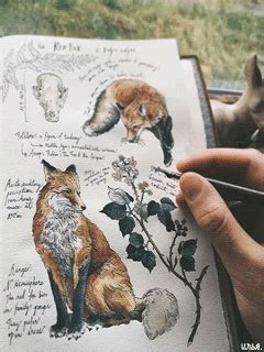 Рисунок лисицы на книге. Art And Illustration, 3d Drawings, Drawing ...