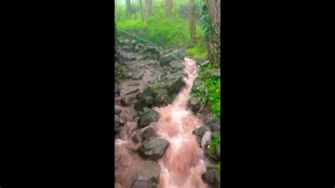 Dewal - YouTube
