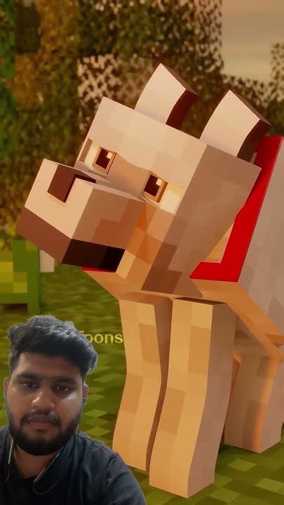 A Loyal Friend ♥️ #minecraft #shorts #subscribe #ytshorts - YouTube