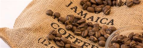 The Jamaican Coffee History Behind Jamaican Blue Mountain Coffee ...