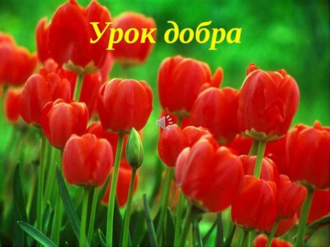 Презентация Урок Доброты - informationsoftru