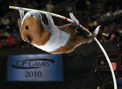 kāmīši