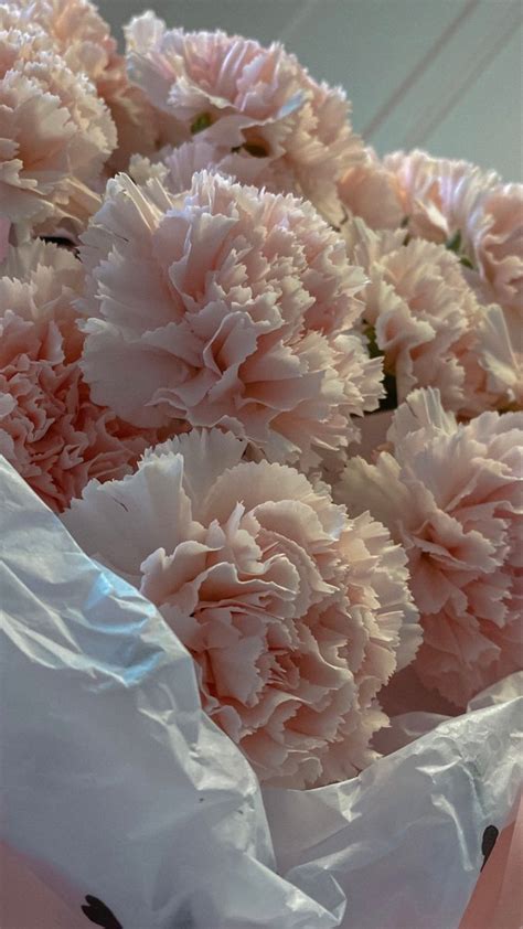 Букет из диантусов (гвоздики) | Beautiful bouquet of flowers, Boquette ...