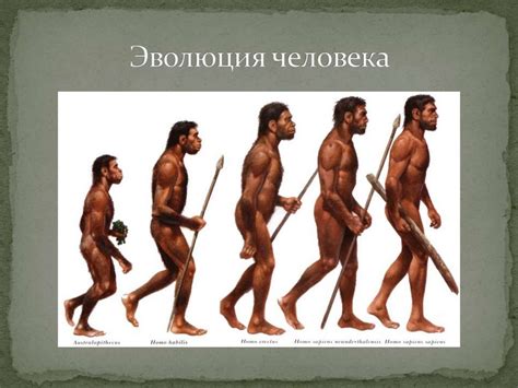 Историческое прошлое людей - презентация онлайн