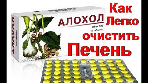 Как легко очистить печень. Оздоровление и Чистка печени аллохолом в ...