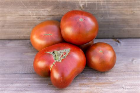 МАРАЛИНГА Dwarf Maralinga — BTomate