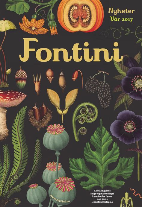 Fontini Forlag Katalog vår 2017 by Fontini Forlag - Issuu