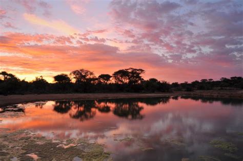 Savanna Safari Lodge | Sabi Sands Game Reserve - Kruger National Park