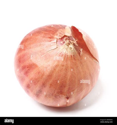 One shallot hi-res stock photography and images - Alamy