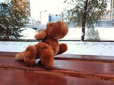 Идет бычок качается... Ой, не бычок. Этот товарищ станет отличным ...
