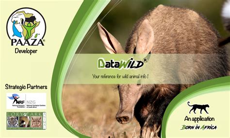 Selous’ mongoose – Paracynictis selousi – DataWild
