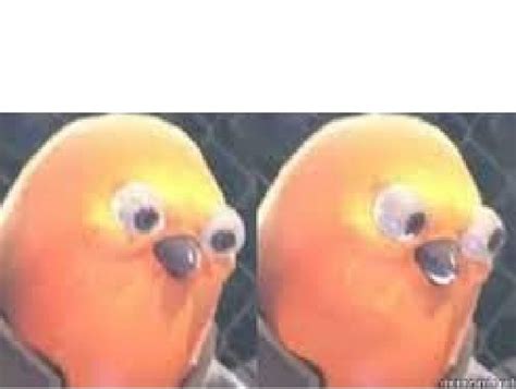 Создать комикс мем "цыпленок мем, мелкая засранка, маленький засранец ...