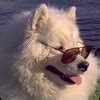 Алексей Надёжин о технике и не только — LiveJournal
