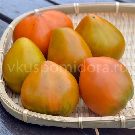 Купить семена томата сорт Суровая дыня немцев Поволжья (Severe Melon)
