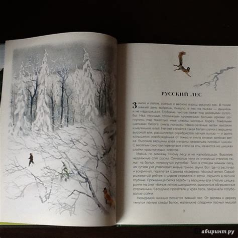 Книга: Русский лес - Иван Соколов-Микитов. Купить книгу, читать ...